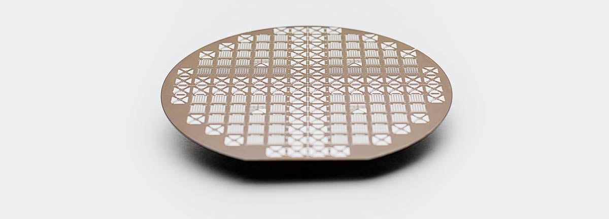FET Biosensor